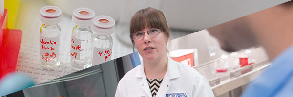 Adjunct Faculty | Current Employees